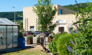 Site Lintgen – COSP asbl